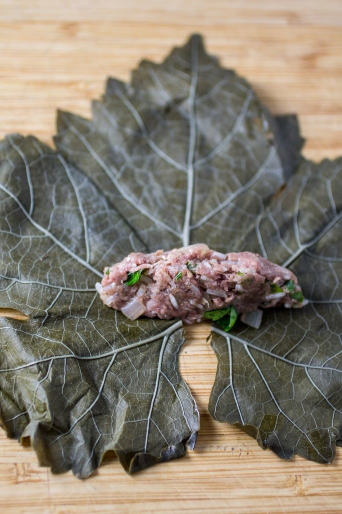 Meat & Rice Stuffed Grape Leaves - Olivia's Cuisine