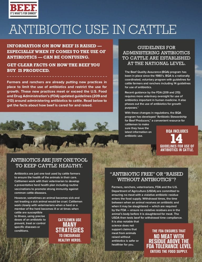 Meet your Meat - Demystifying Beef Production - Olivia's Cuisine