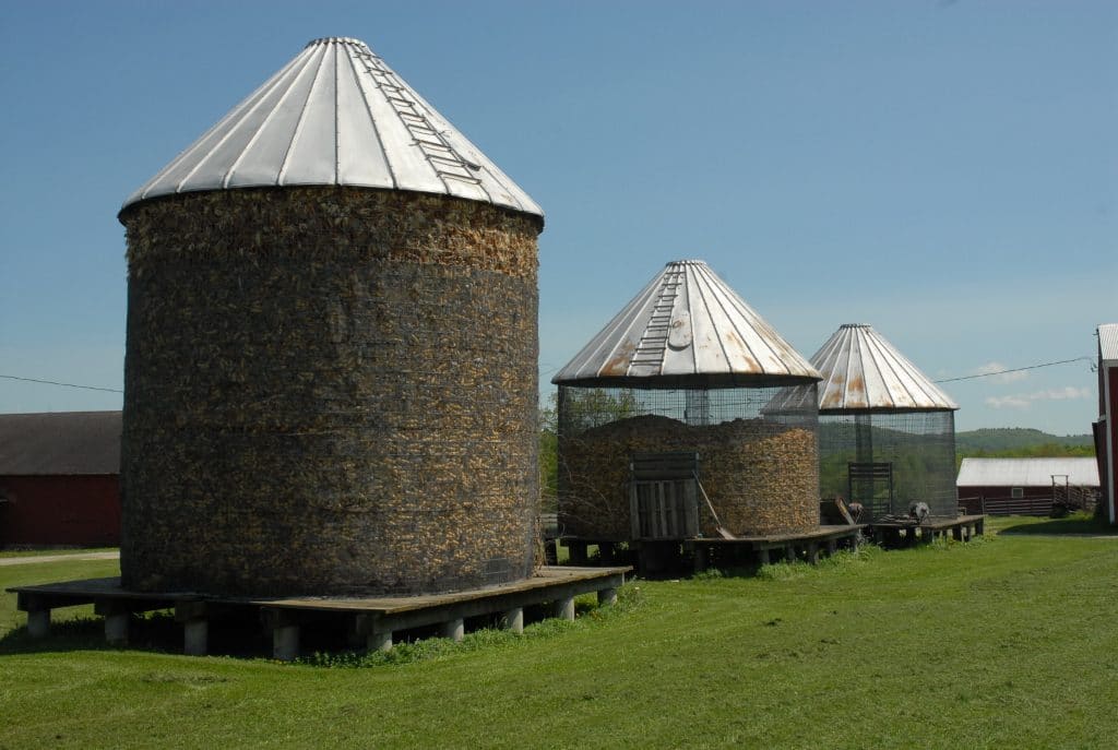 Meet your Meat - Demystifying Beef Production - Olivia's Cuisine