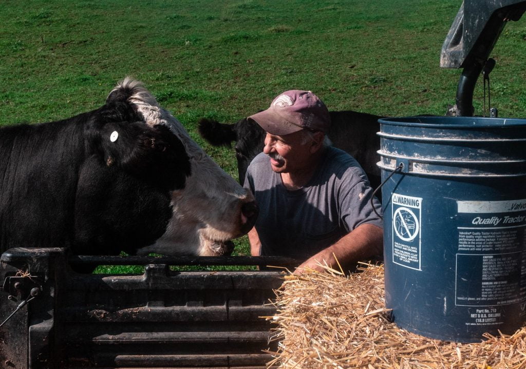 Meet your Meat - Demystifying Beef Production - Olivia's Cuisine