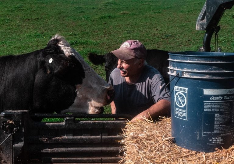 Meet your Meat - Demystifying Beef Production - Olivia's Cuisine