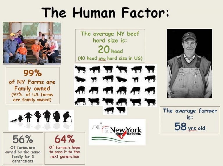Meet your Meat - Demystifying Beef Production - Olivia's Cuisine