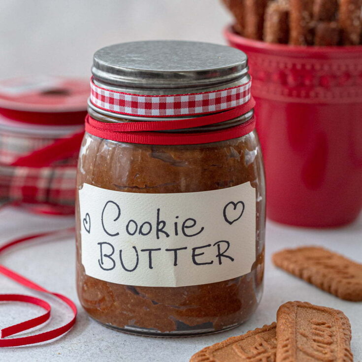 Homemade Cookie Butter Recipe - Olivia's Cuisine